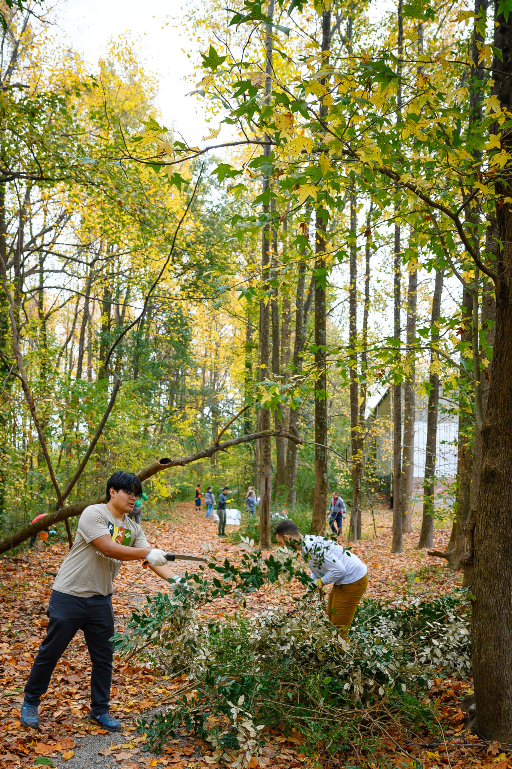Woodall Rail Trail, First Segment of the Silver Comet Connector, Breaks ...